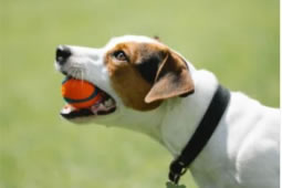 A Busy Weekend In Store For SW6